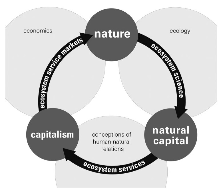 The Green Economy: Reconceptualizing the Natural Commons as Natural ...